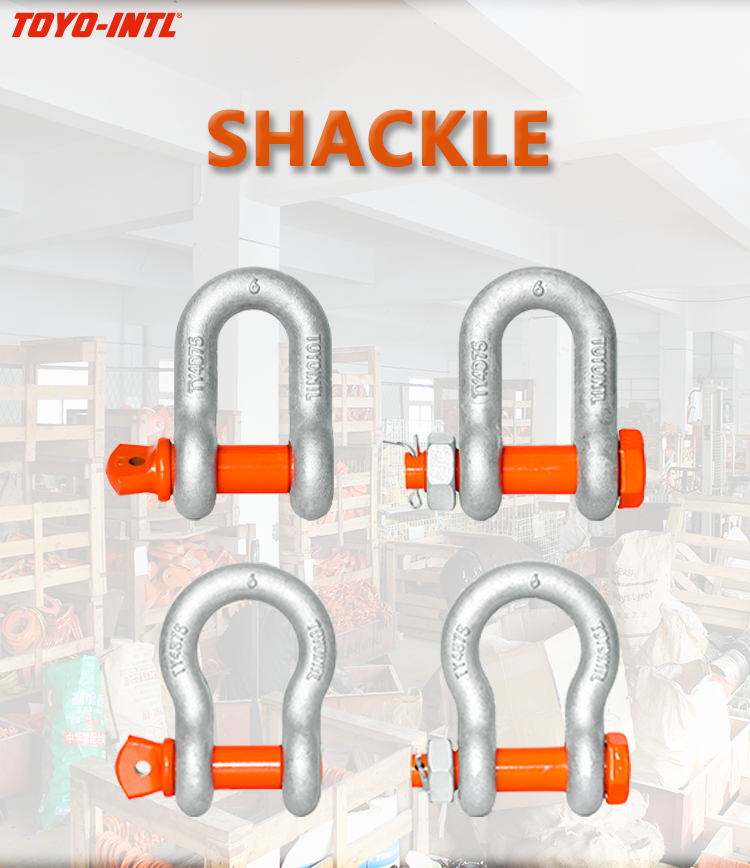 TOYO-INTL Shackle - TOYO-INTL