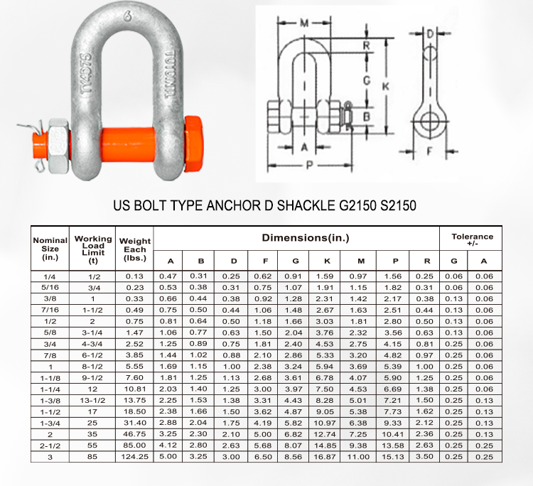 TOYO-INTL Shackle - TOYO-INTL