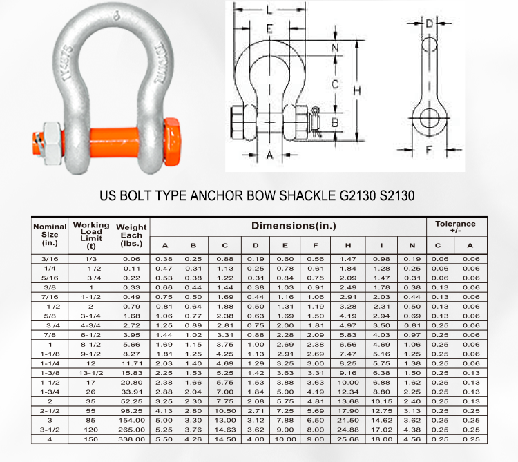 TOYO-INTL Shackle - TOYO-INTL